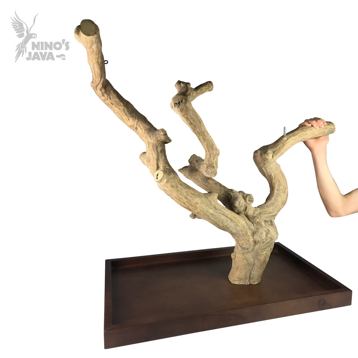 JAVA TABLE TOP TREE MEDIUM